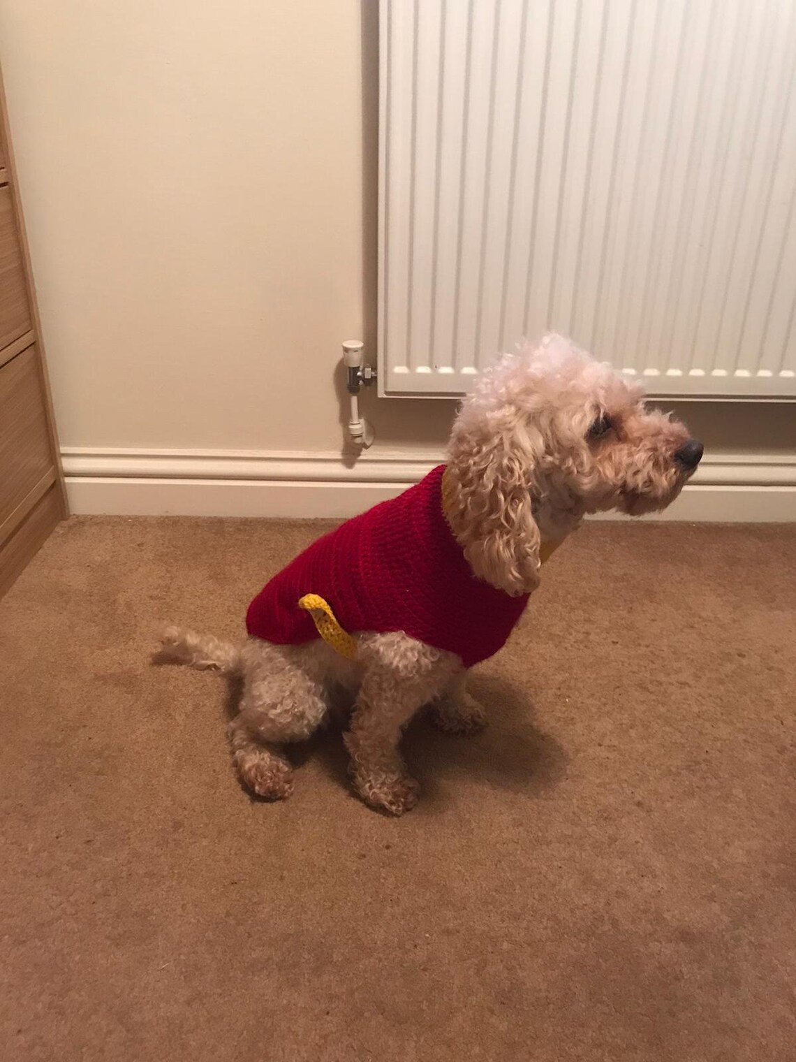 PDF Download File Crochet Pattern. Cockapoo Westie Crochet | Etsy