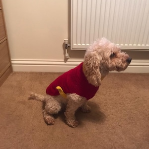 PDF Download File Crochet Pattern. Cockapoo, Westie , Crochet Dog Coat ...