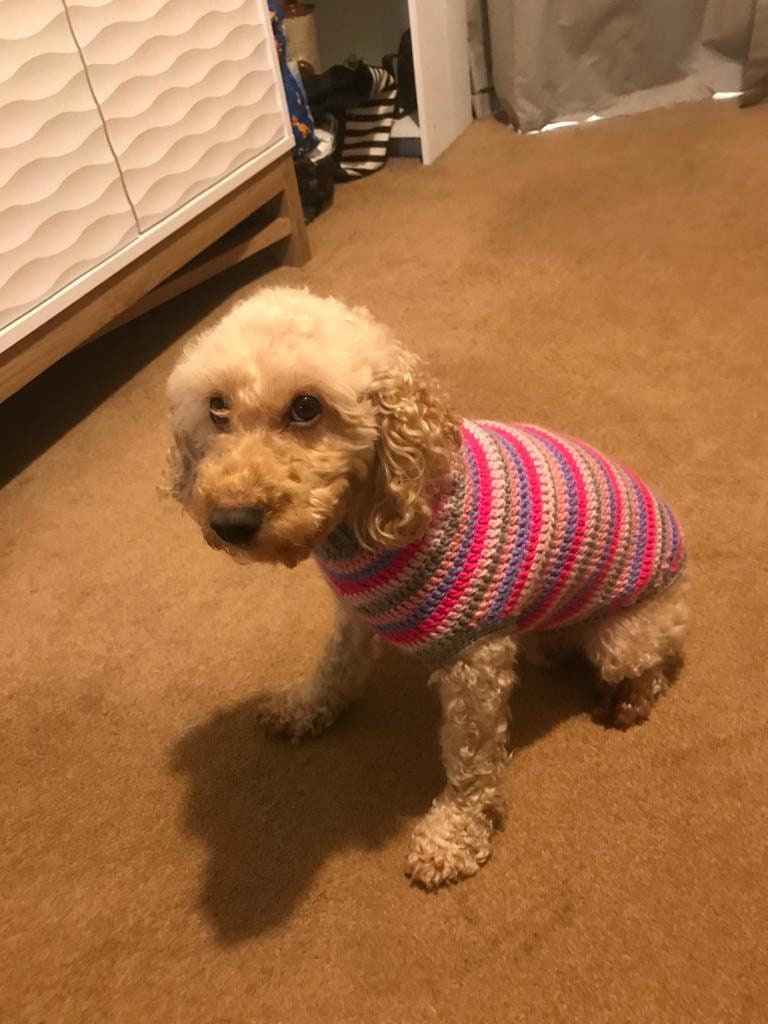 PDF Digital Download Crochet Pattern 18 Inch Dog Jumper - Etsy