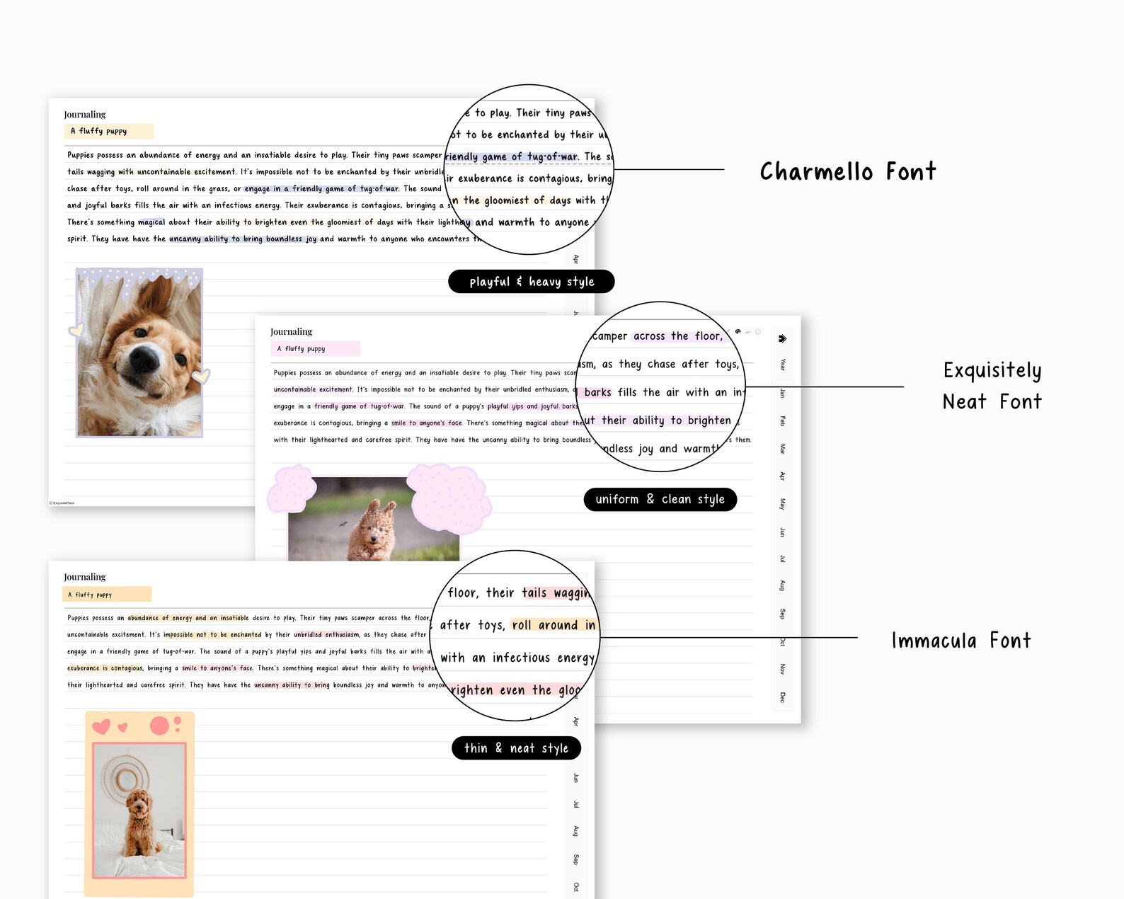 Neat Handwriting Font Bundle for Note-taking, Digital Planning Font ...