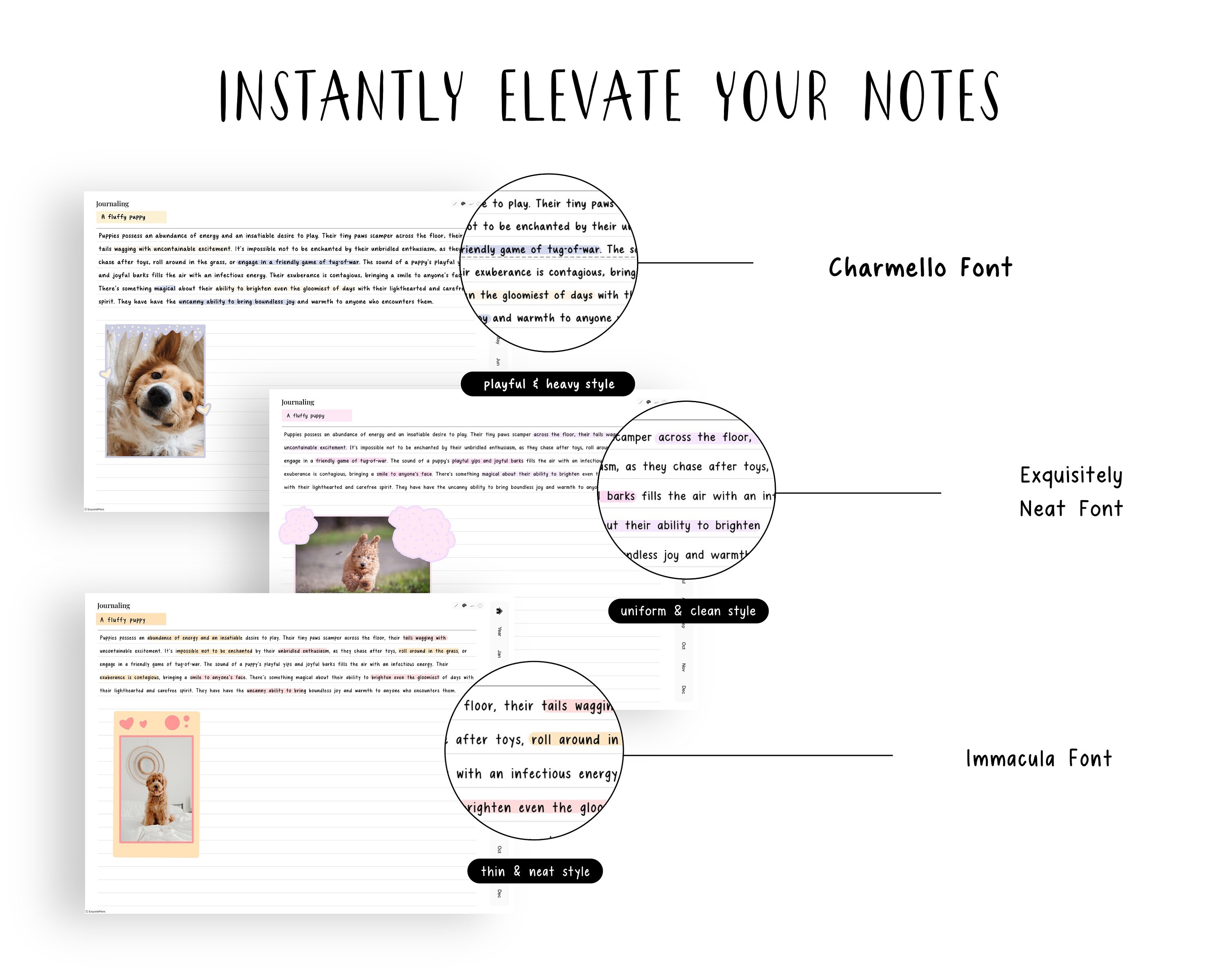 Neat Handwriting Font Bundle for Note-taking, Digital Planning Fonts ...