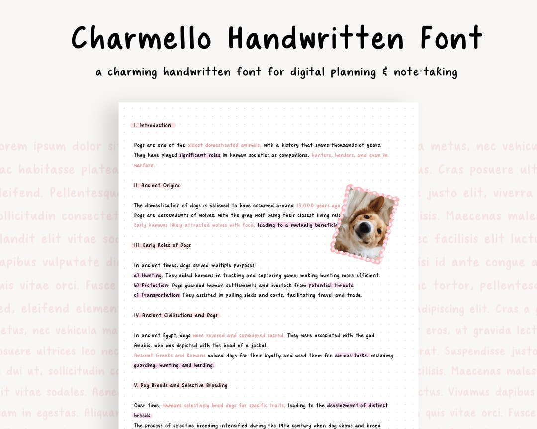 Neat Handwriting Font for Note-taking Digital Planning Font - Etsy