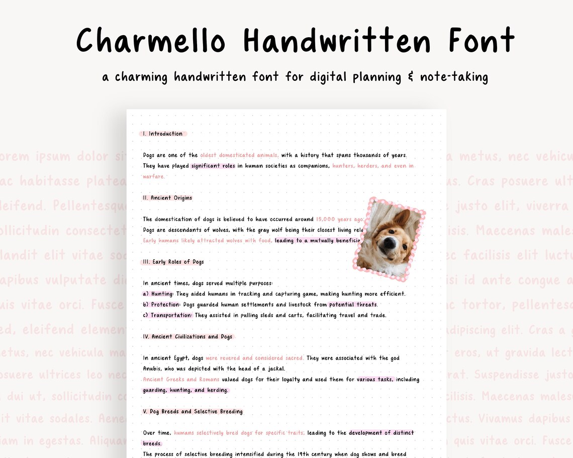 Neat Handwriting Font for Note-taking Digital Planning Font - Etsy