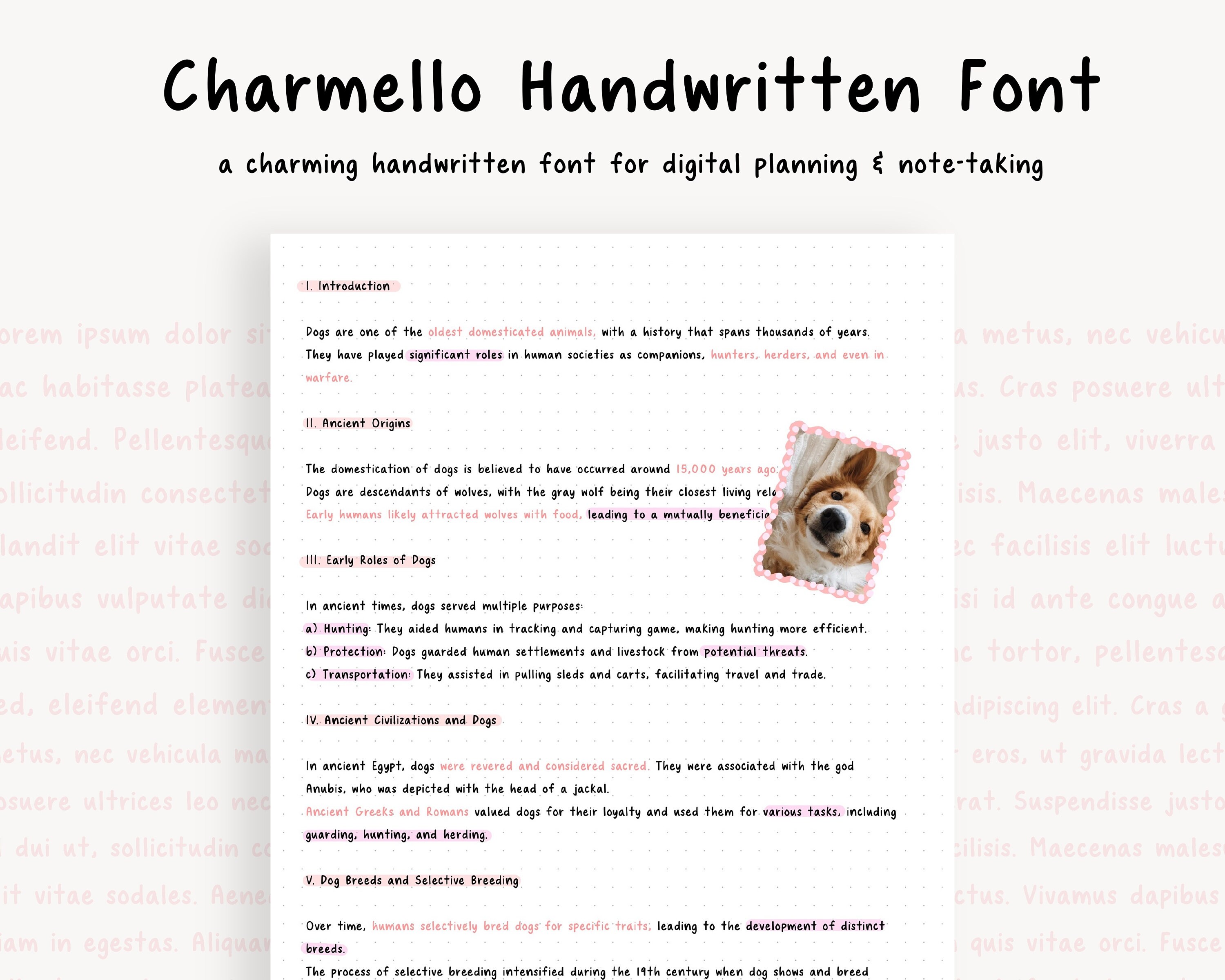 Neat Handwriting Font for Note-taking Digital Planning Font - Etsy