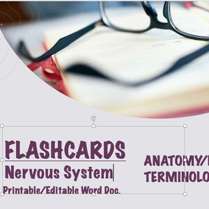 Anatomy/physiology Nervous System Flashcards - Etsy