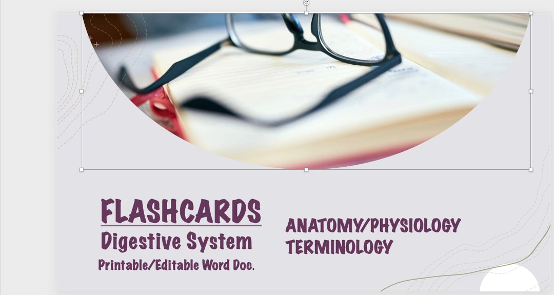 Anatomy/physiology Digestive System Flashcards - Etsy