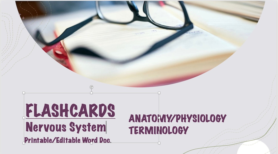 Anatomy/physiology Nervous System Flashcards - Etsy UK