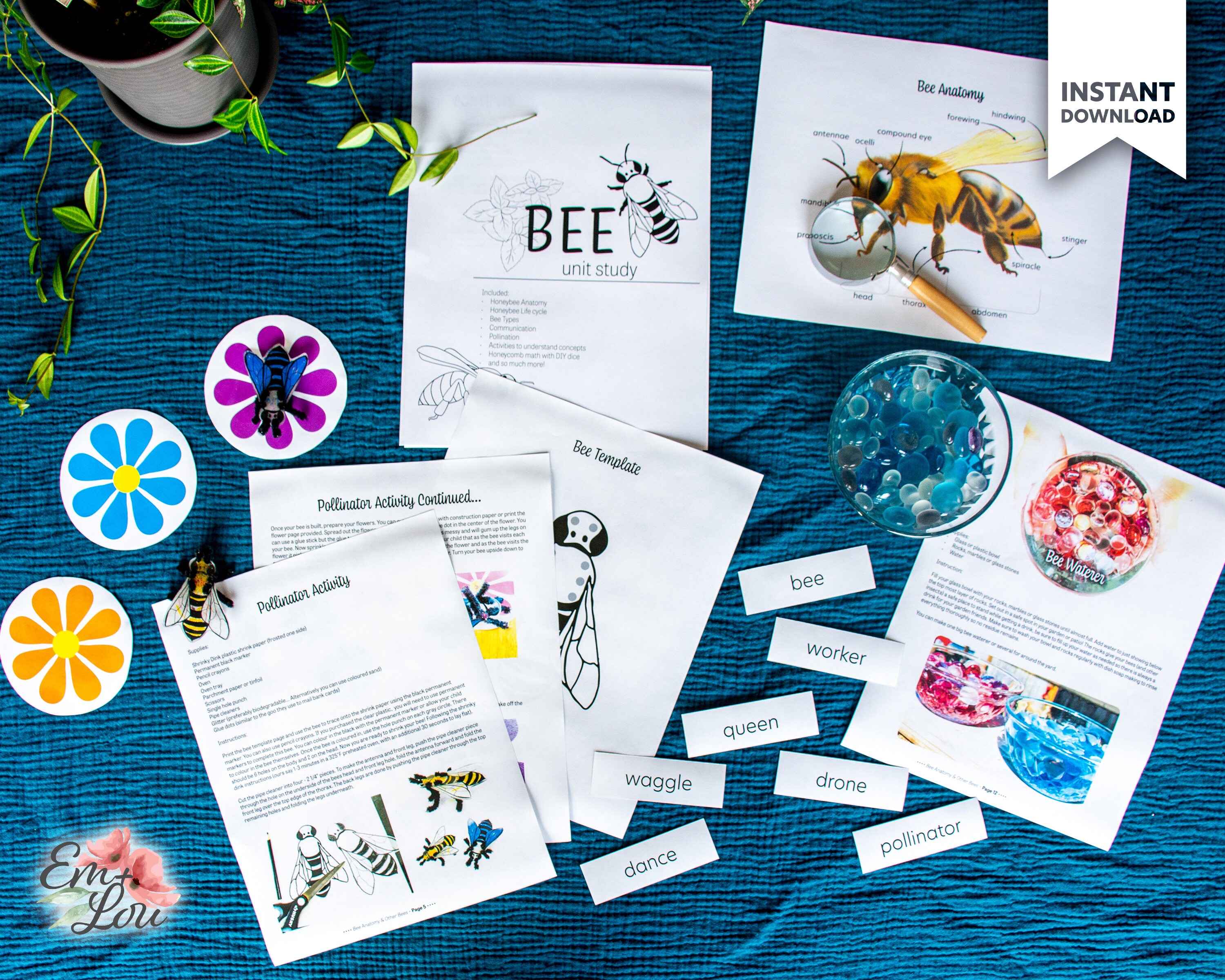Bee Unit Study - Bee Unit Study for Preschool, Kindergarten, Grade 1 ...