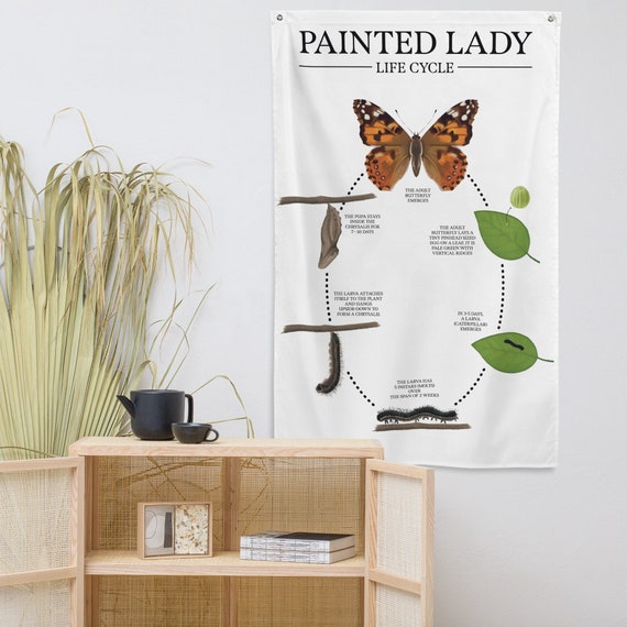 Painted Lady Life Cycle Flag Homeschool Resources - Etsy