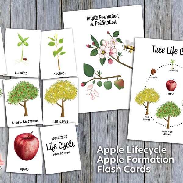 Pollinator Education - Etsy