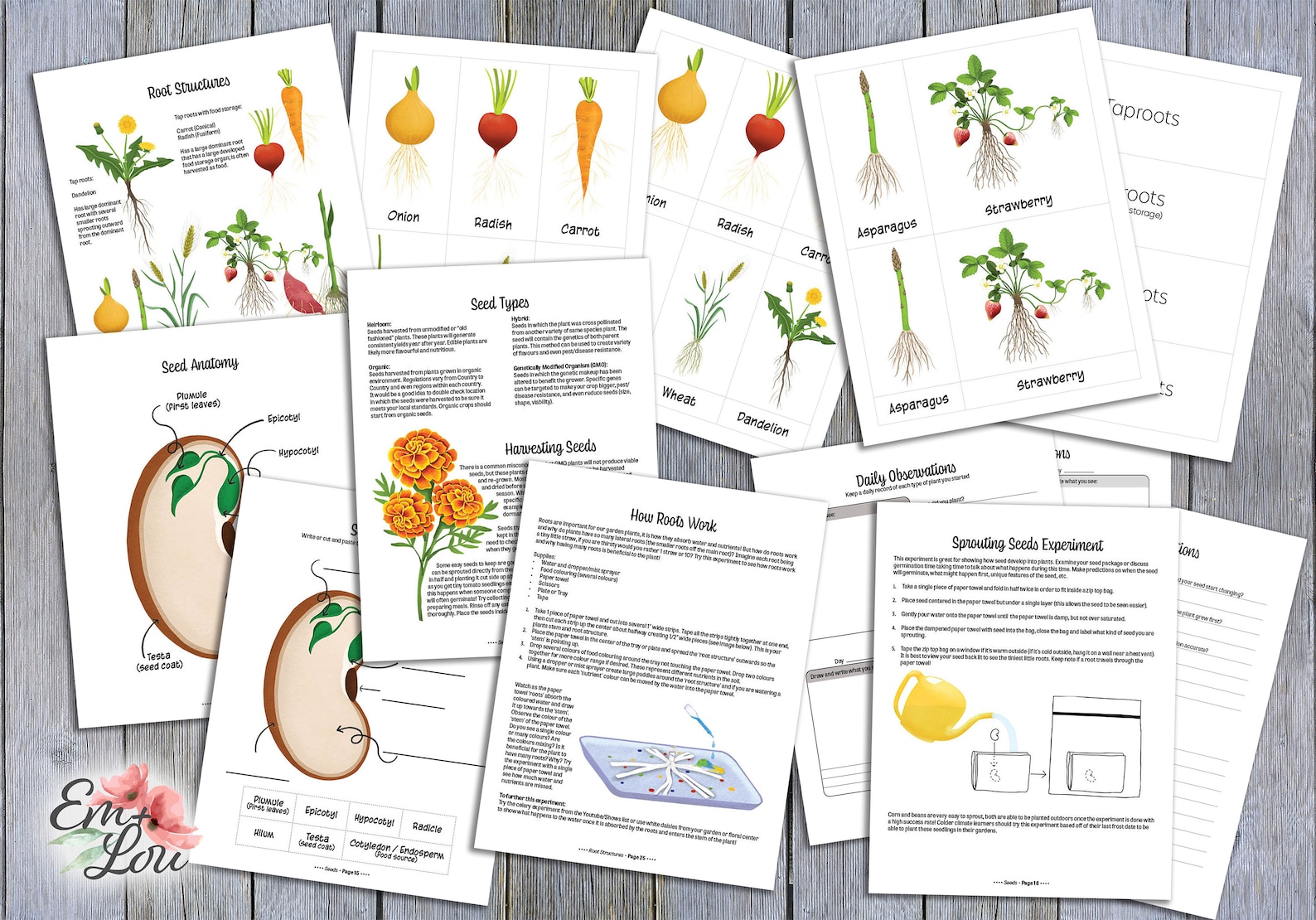 Garden Unit Study Homeschool Unit Study for All Ages - Etsy India