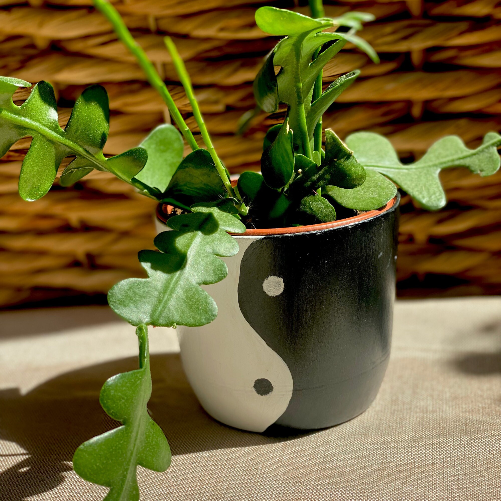 FREYA Upcycled Pot Black and White Yin Yang Balance Flowerpot Balance ...