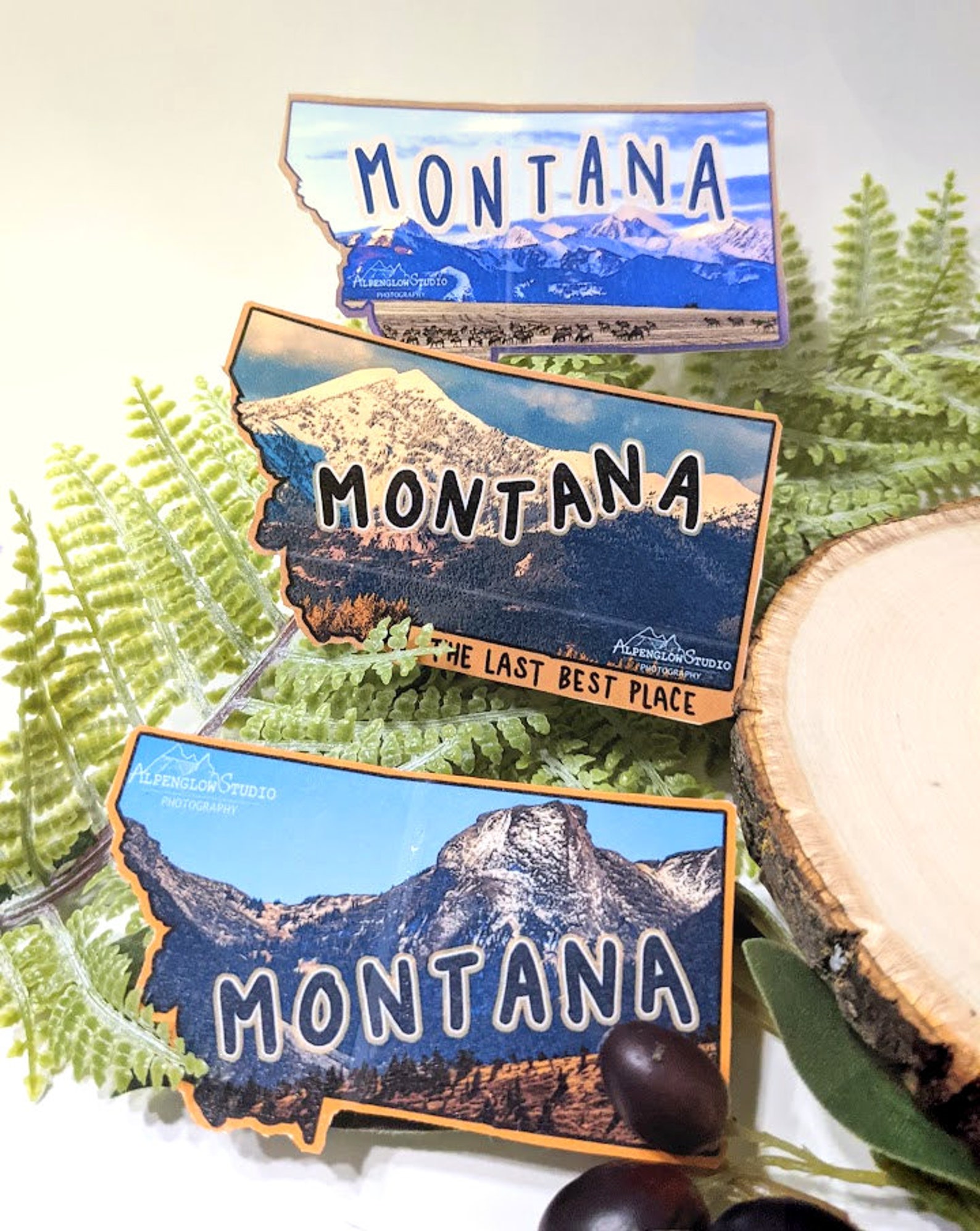 Montana State Sticker Set || 6 Stickers Big Sky Country || Laminated ...