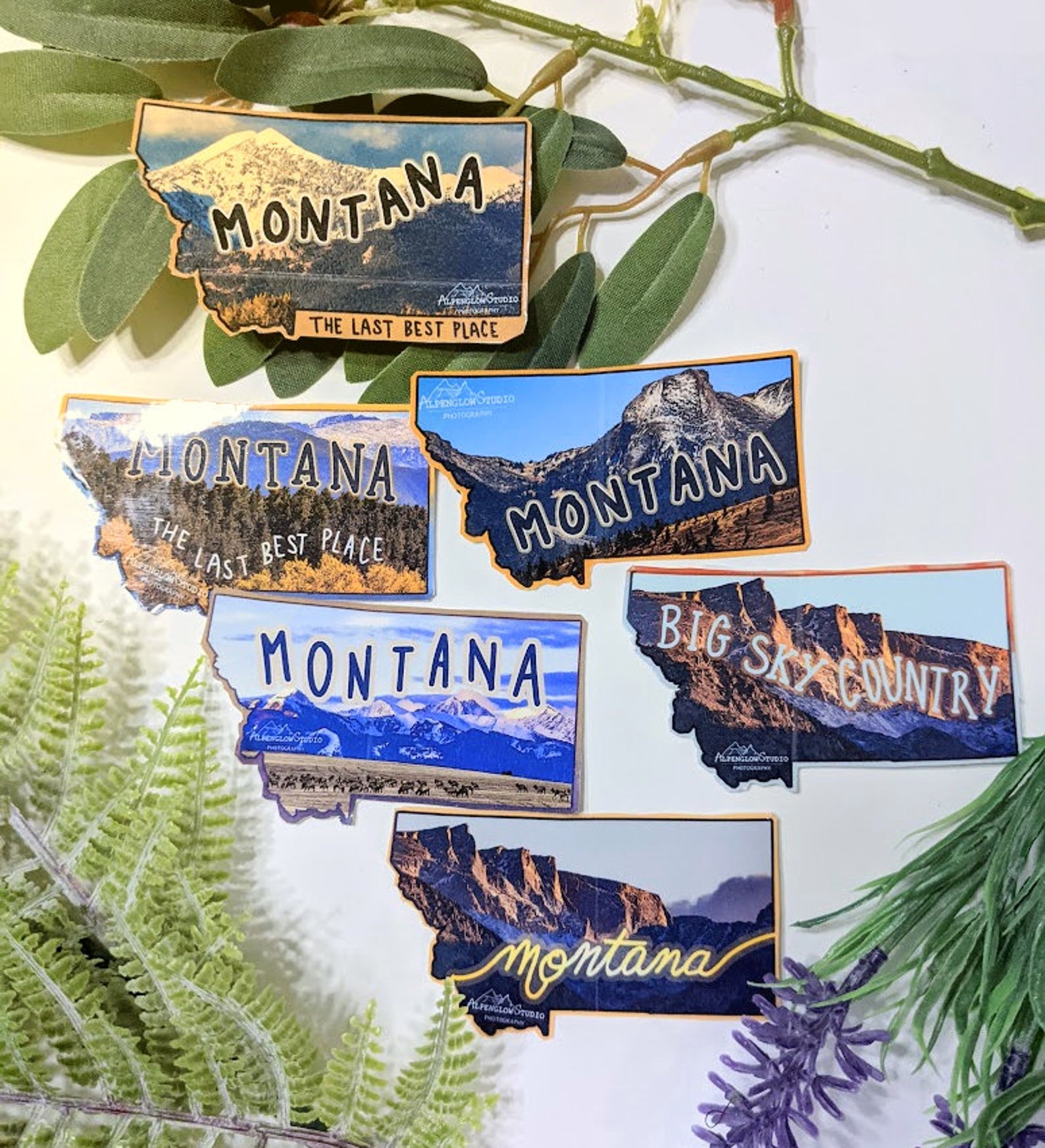 Montana State Sticker Set || 6 Stickers Big Sky Country || Laminated ...