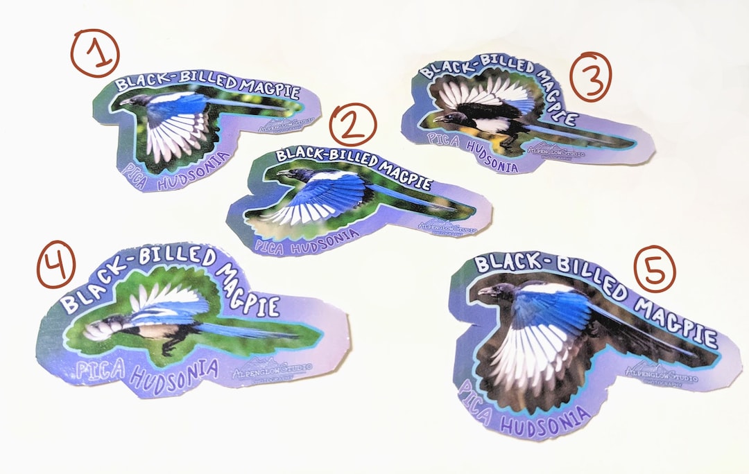 Magpie Sticker Set || All 5 Stickers || Matte Weatherproof Photo ...