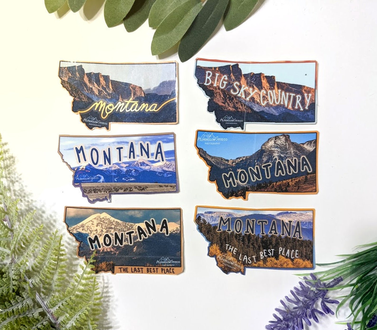 Montana State Sticker Set || 6 Stickers Big Sky Country || Laminated ...