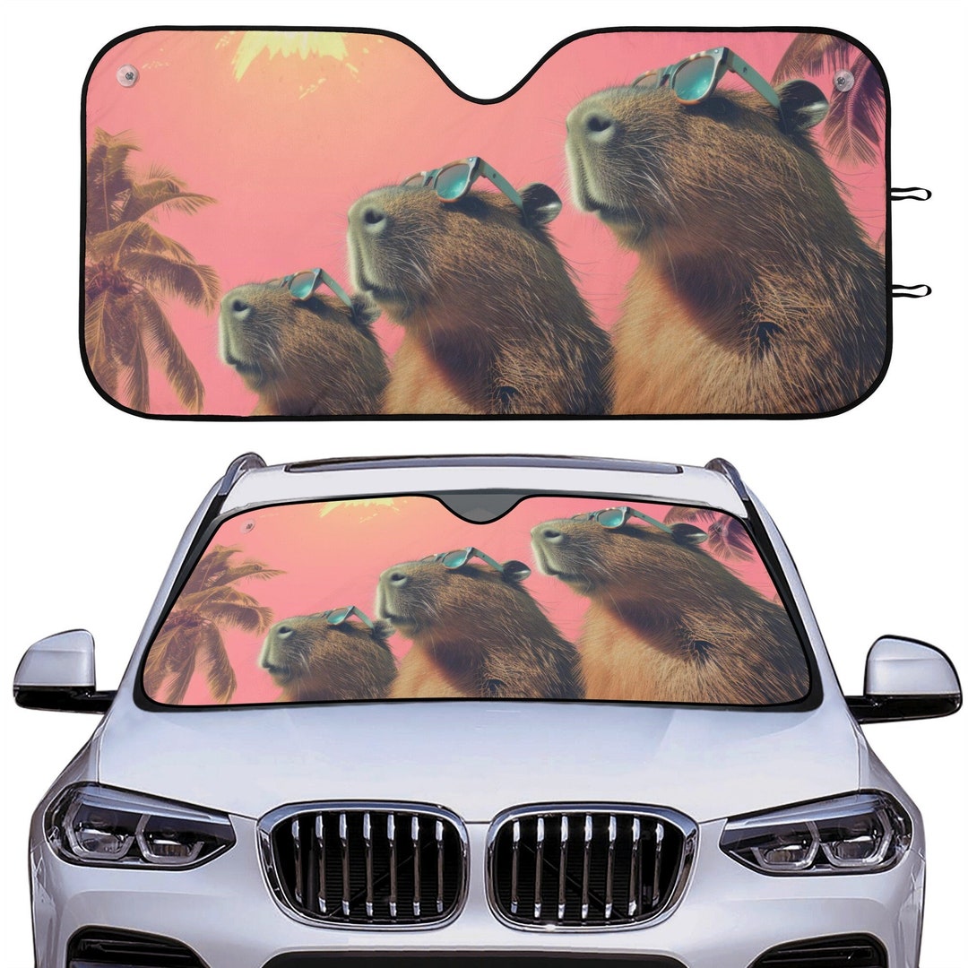 Beach Capybara Car Auto Sun Shade, Funny Capybara Animal Windshield ...