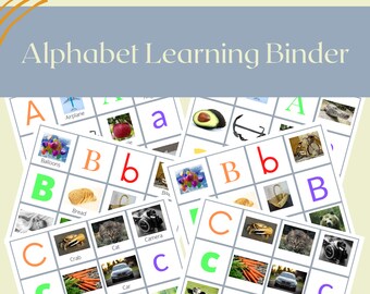 Toddler Learning Binder - Etsy