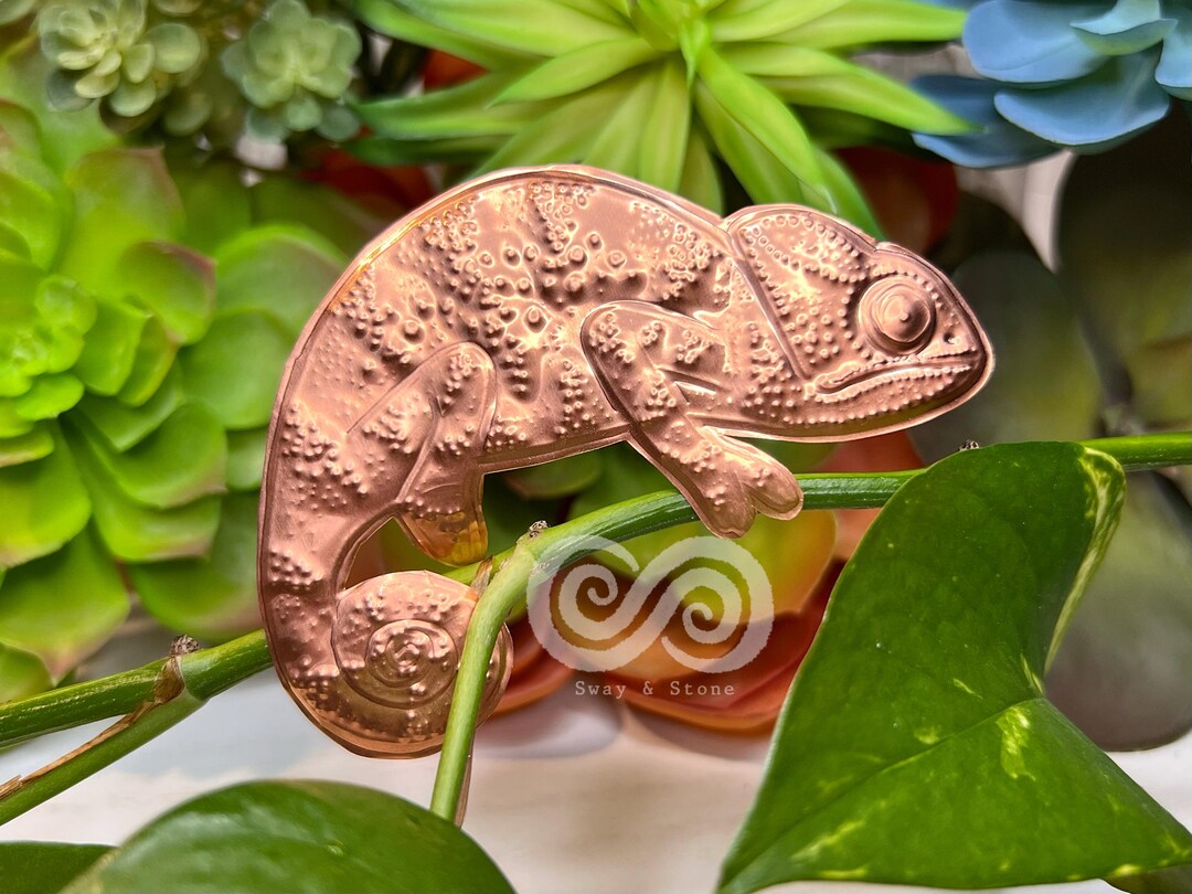 Plant Pal Chameleon Plant Pet for Plant Animal Friend for Plant Metal ...