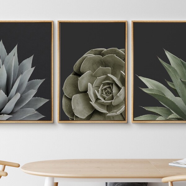 Succulent Wall Art - Etsy