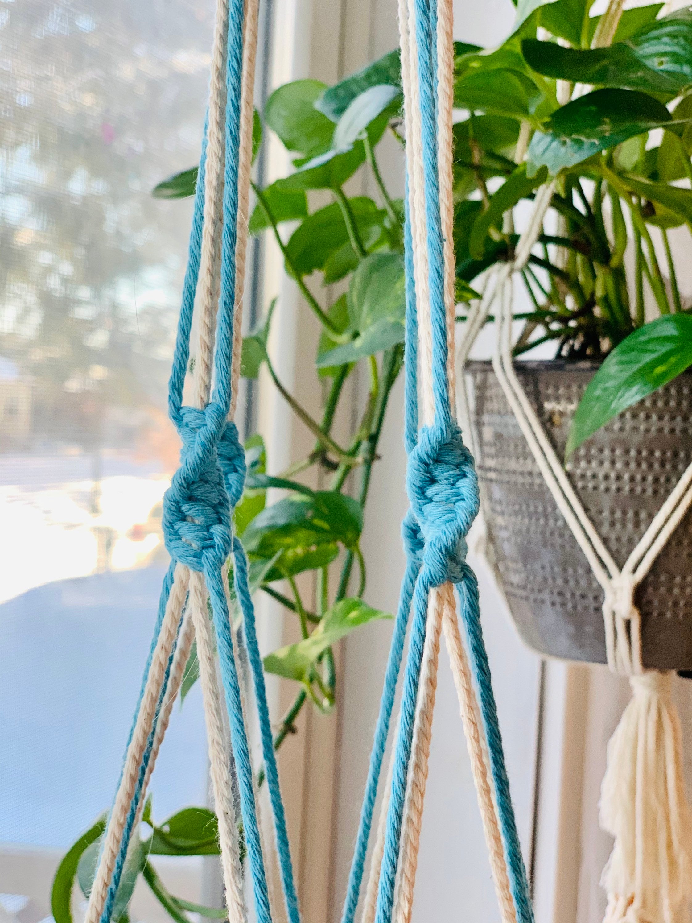 Two-Color Macrame Plant Hanger Macrame Plant Holder | Etsy