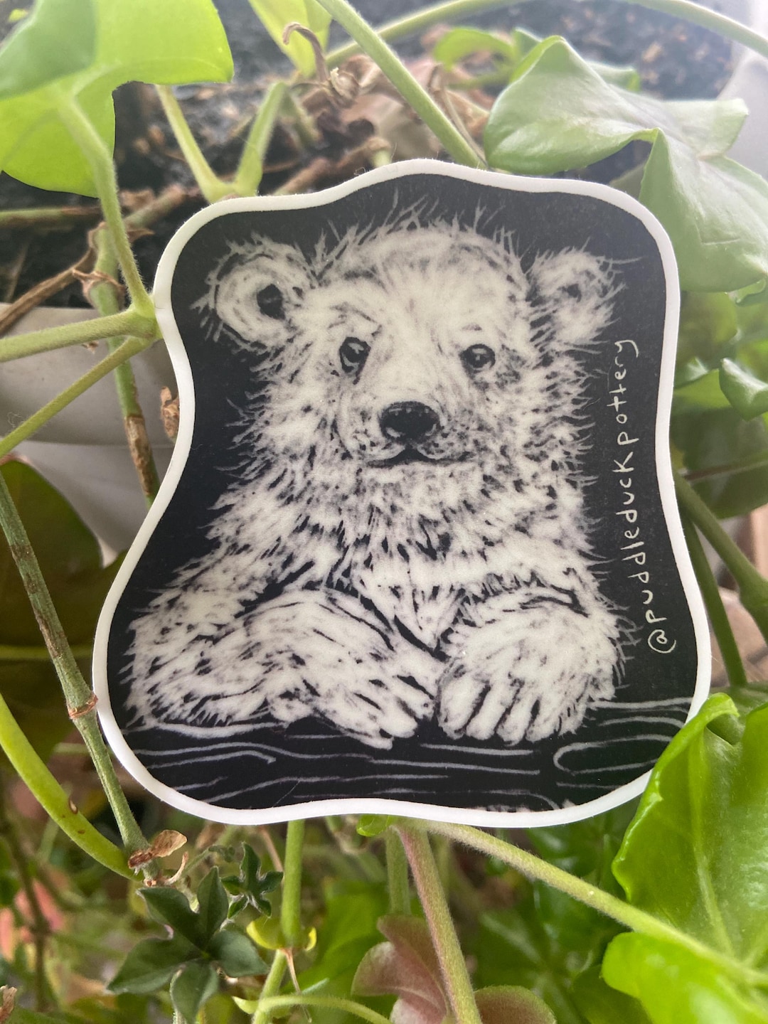 Polar Bear Cub Vinyl Waterproof Sticker, Sgraffito Bear Art, Bear Lover ...
