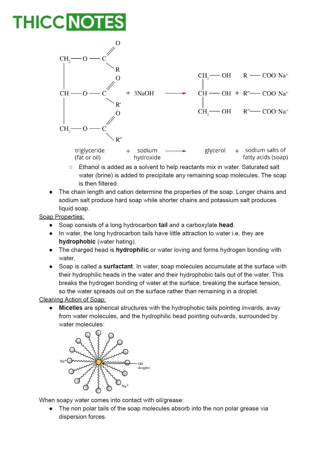 STATE RANK HSC Chemistry Notes - Etsy