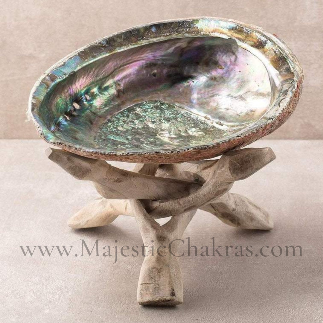 Large 5' 6' Abalone Shell, Wooden Stand, White California Smudge Kit Ll ...