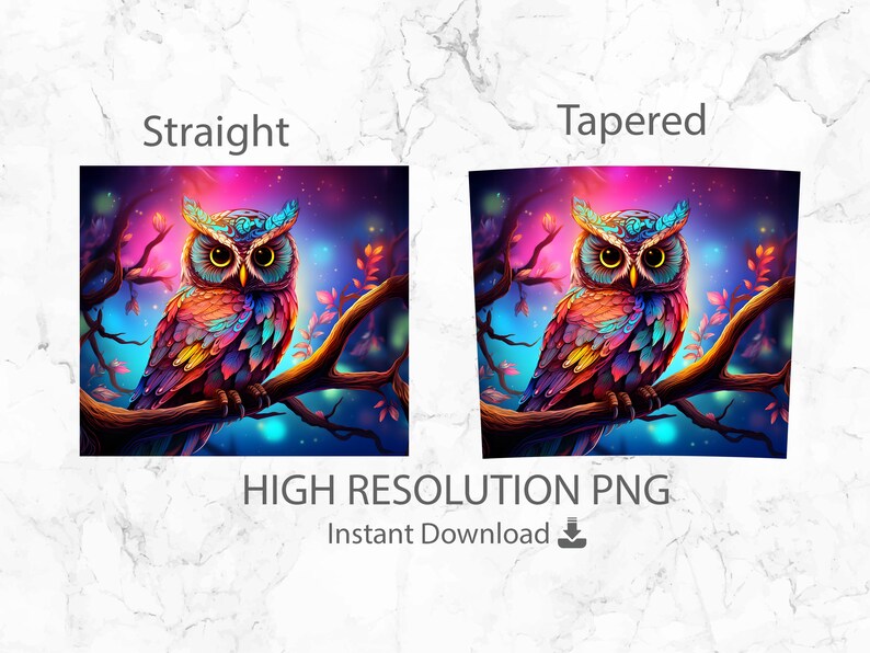 Neon Owl Tumbler Wrap: Rainbow Bird Sublimation Design (PNG) - Etsy