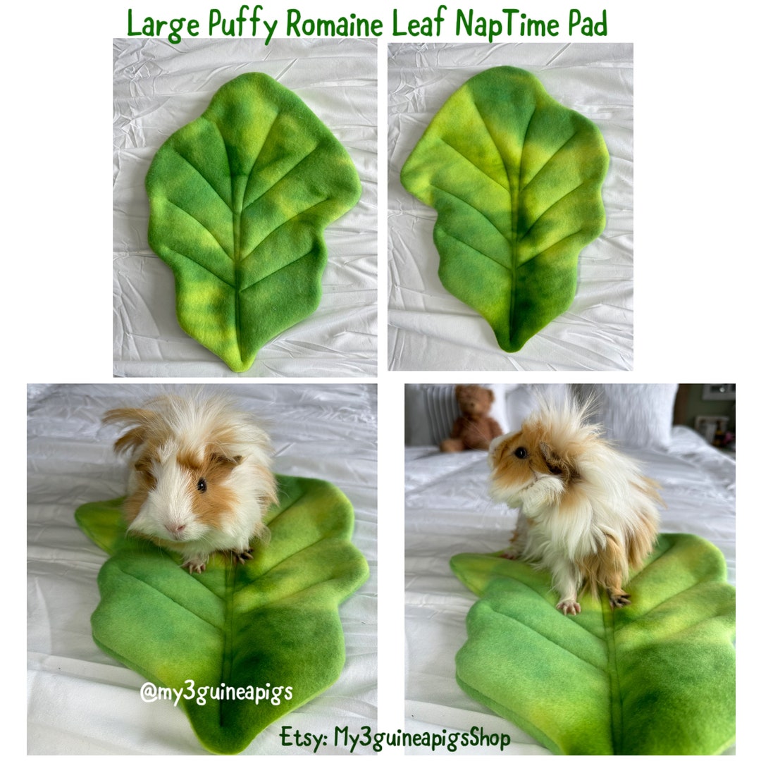 Large Puffy Romaine Naptime Mat Pee Pad Guinea Pigs Chinchilla Mini Lop ...