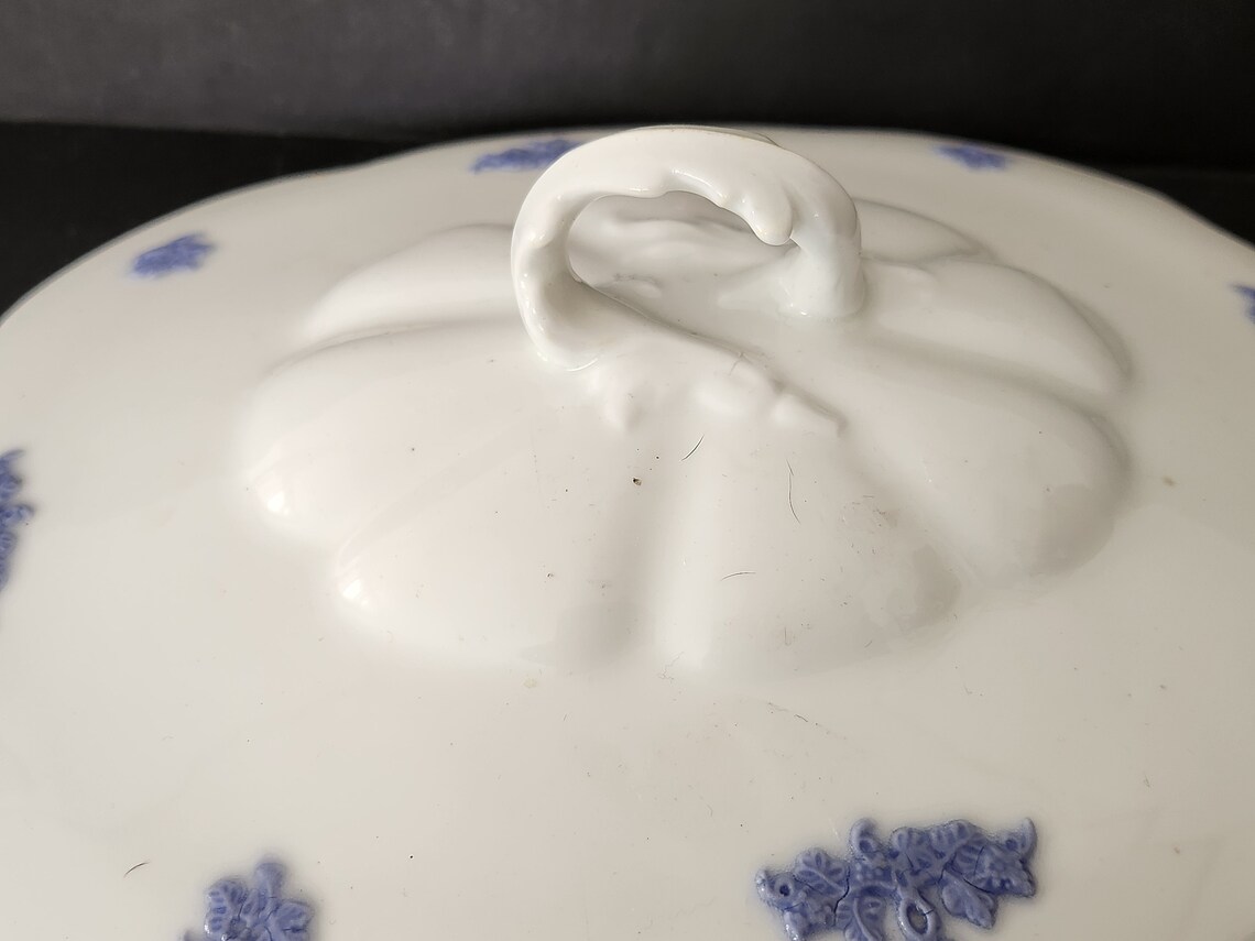 Adderly England Blue Chelsea Covered Vegetable Tureen, Antique Bone ...