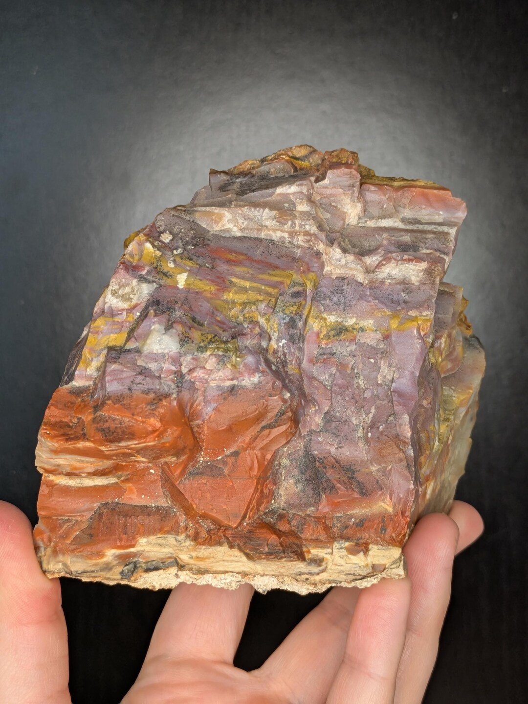 Large Natural Rainbow Petrified Wood Chunk - Etsy