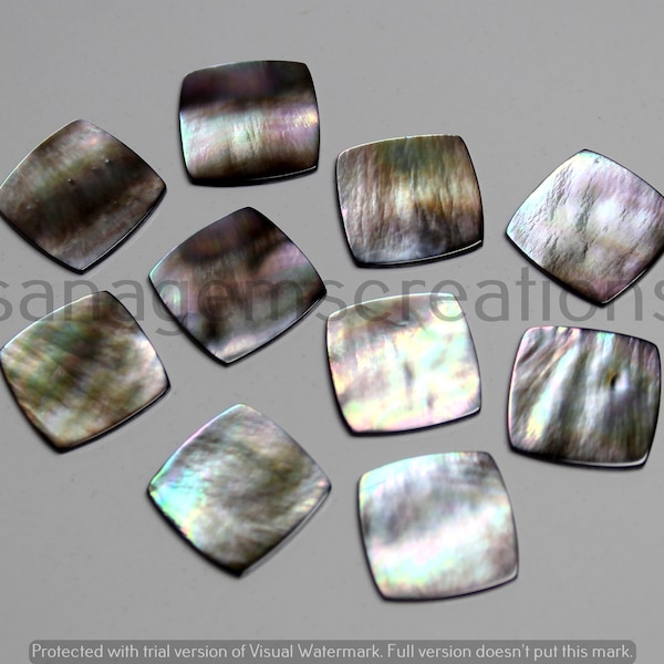 Black Shell Earrings - Etsy