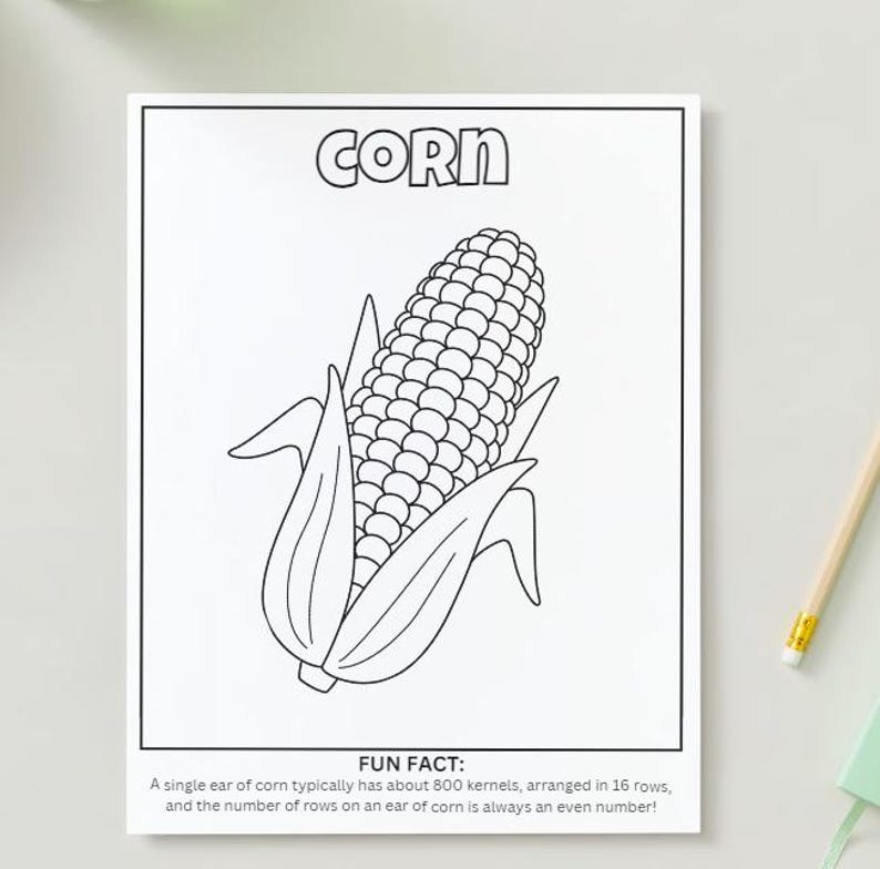 On the Farm Printable Coloring Book With Fun Facts 25 Pages, Editable ...