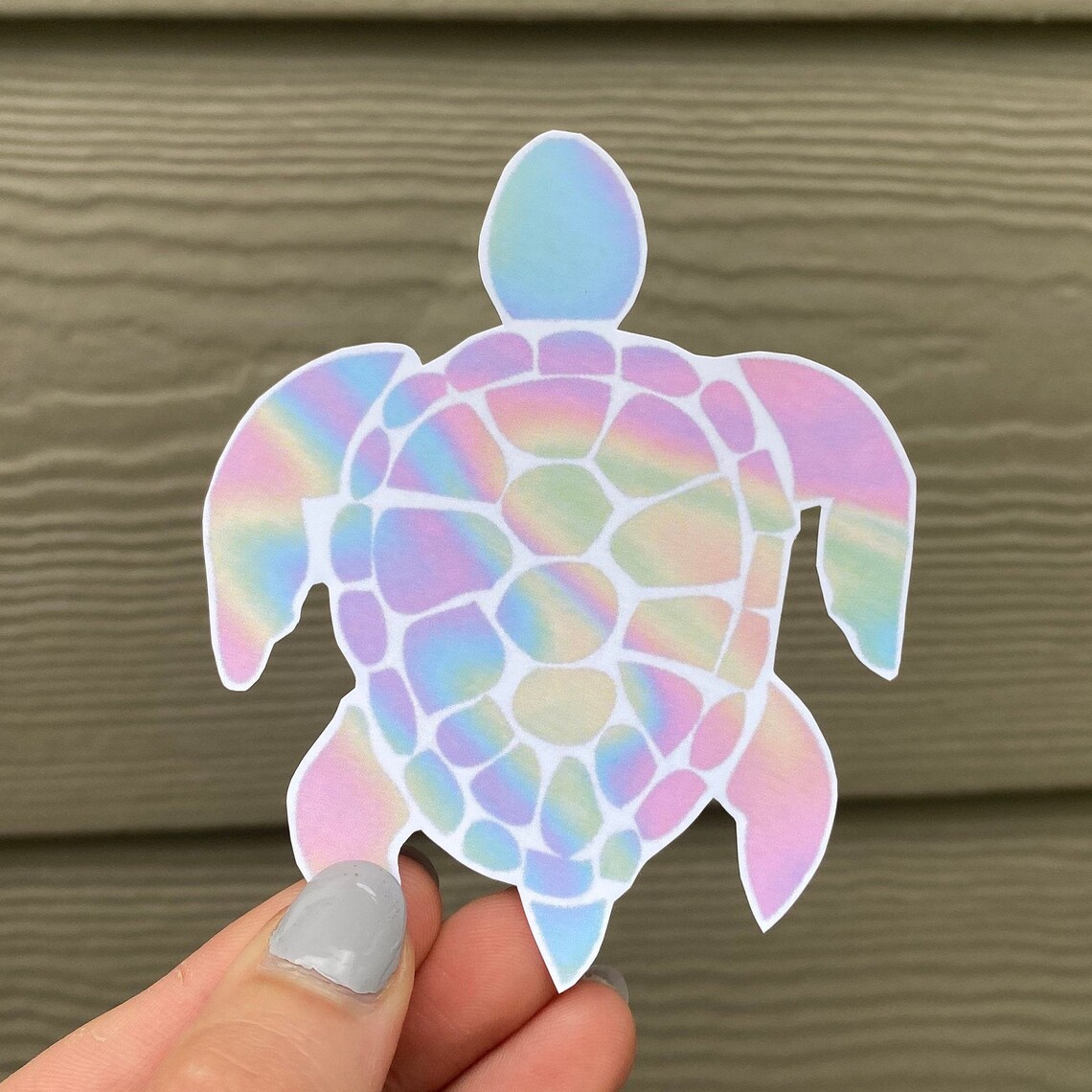Large Rainbow Turtle Sticker // Watercolor Turtle Sticker // | Etsy