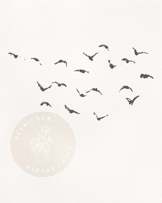Flock Flying Birds Drawing