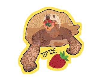 Tiptoe the Tortoise Stickers - Etsy