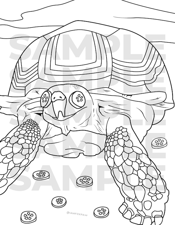 Coloring Book Digital Download Package 1 | Etsy