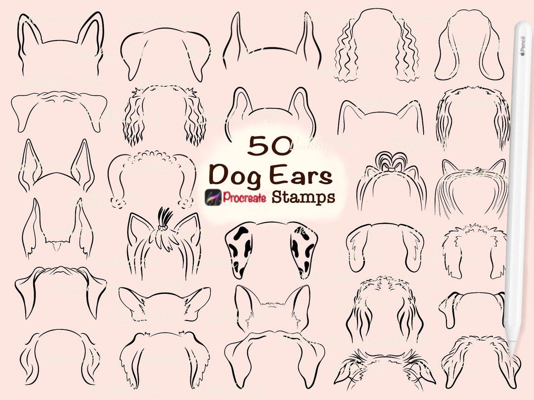 Dog Ears Doodle Procreate Stamps Dog Ear Outline Stamps Procreate ...