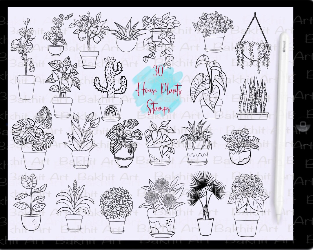 30 House Plants Procreate Stamps Potted Plant Stamps Procreate Brushes ...