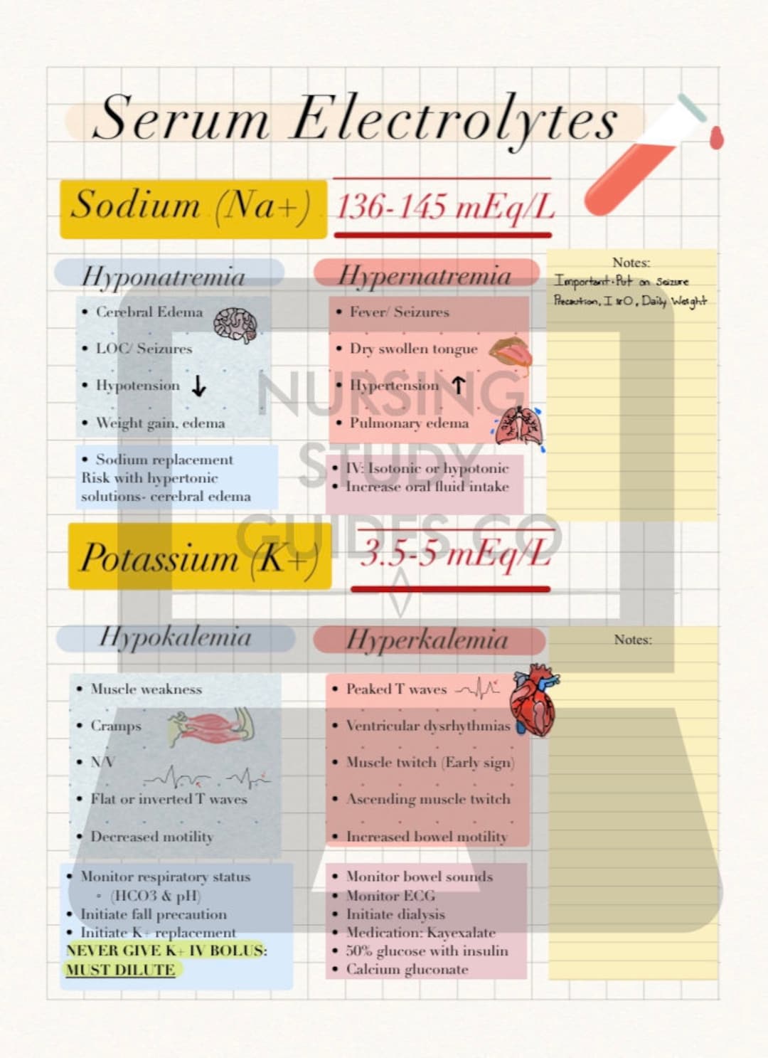 Serum Electrolytes NCLEX 2020 - Etsy