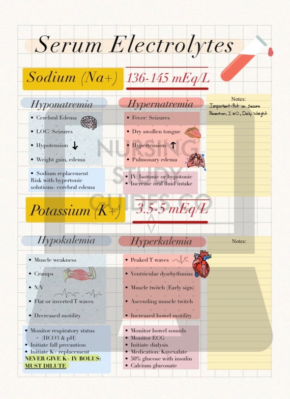 Serum Electrolytes NCLEX 2020 | Etsy