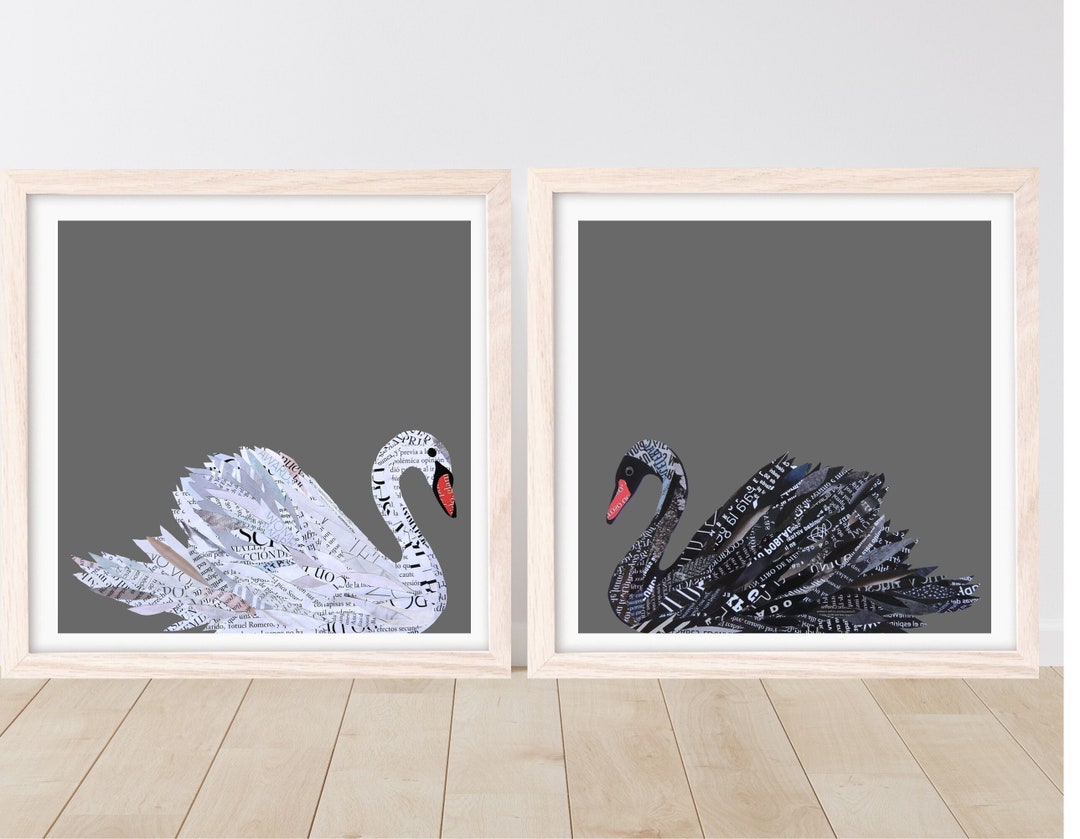 Newspaper Collage Swan Prints – White Swan and Black Swan in Modern ...