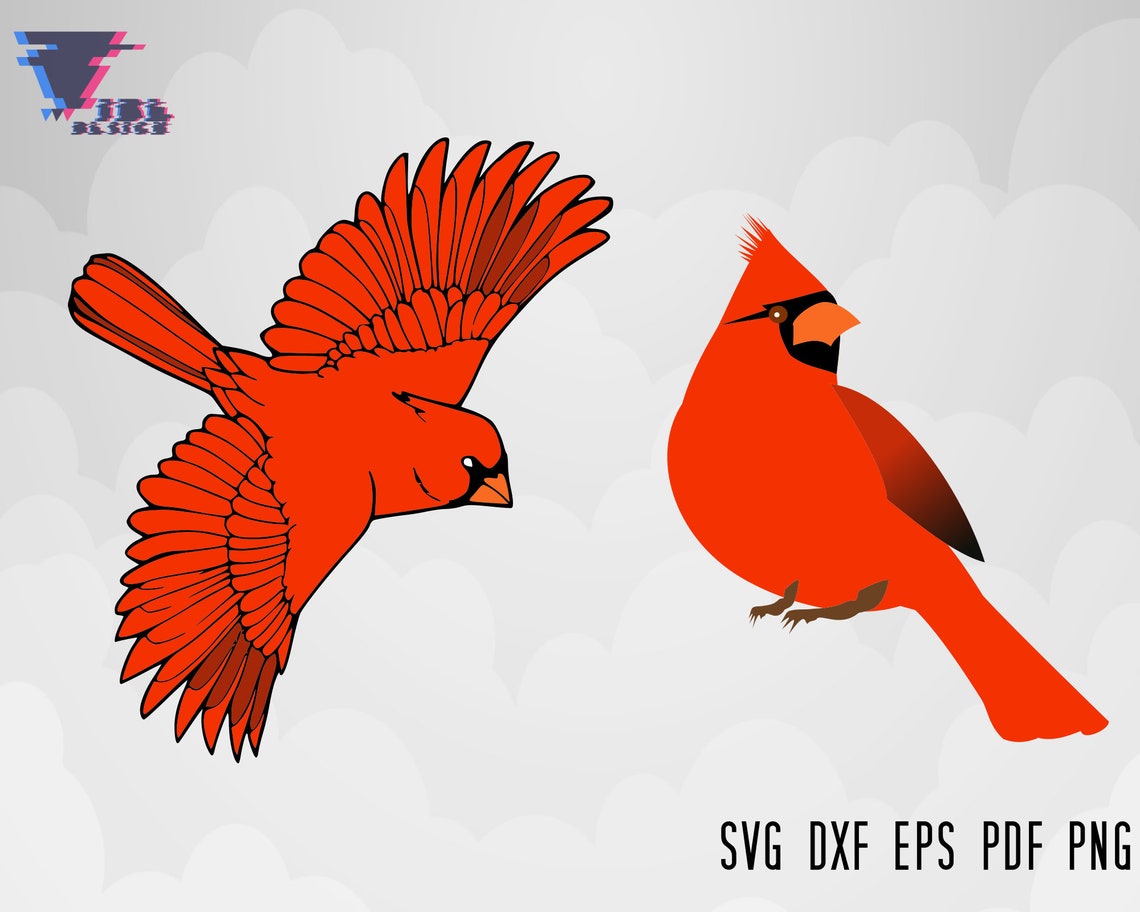 Cardinal Svg Cardinal Bird Svg Bird Svg Cardinal Layered | Etsy