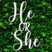 He or She Sign Gender Reveal Decor, Baby Shower Backdrop, Boy or Girl ...