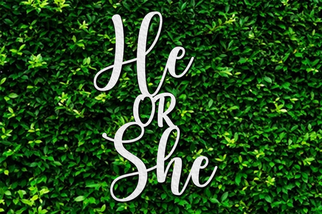 He or She Sign Gender Reveal Decor, Baby Shower Backdrop, Boy or Girl ...