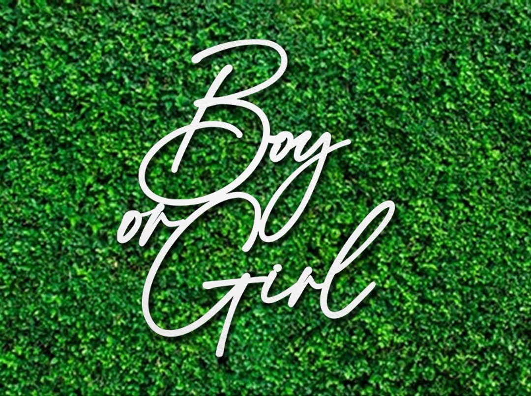 Boy or Girl Sign Baby Shower Gender Reveal Sign, Baby Party Backdrop ...