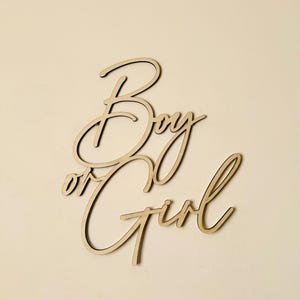 Boy or Girl Sign Baby Shower Gender Reveal Sign, Baby Party Backdrop ...