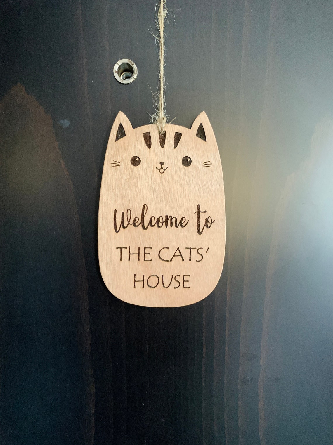 Welcome to the Cats House Wood Sign Crazy Cat Lady Plaque Wood - Etsy