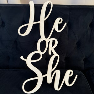 He or She Sign Gender Reveal Decor, Baby Shower Backdrop, Boy or Girl ...